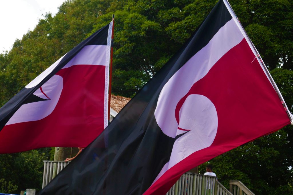 Ngati Whatua Orakei Waitangi – PEAK