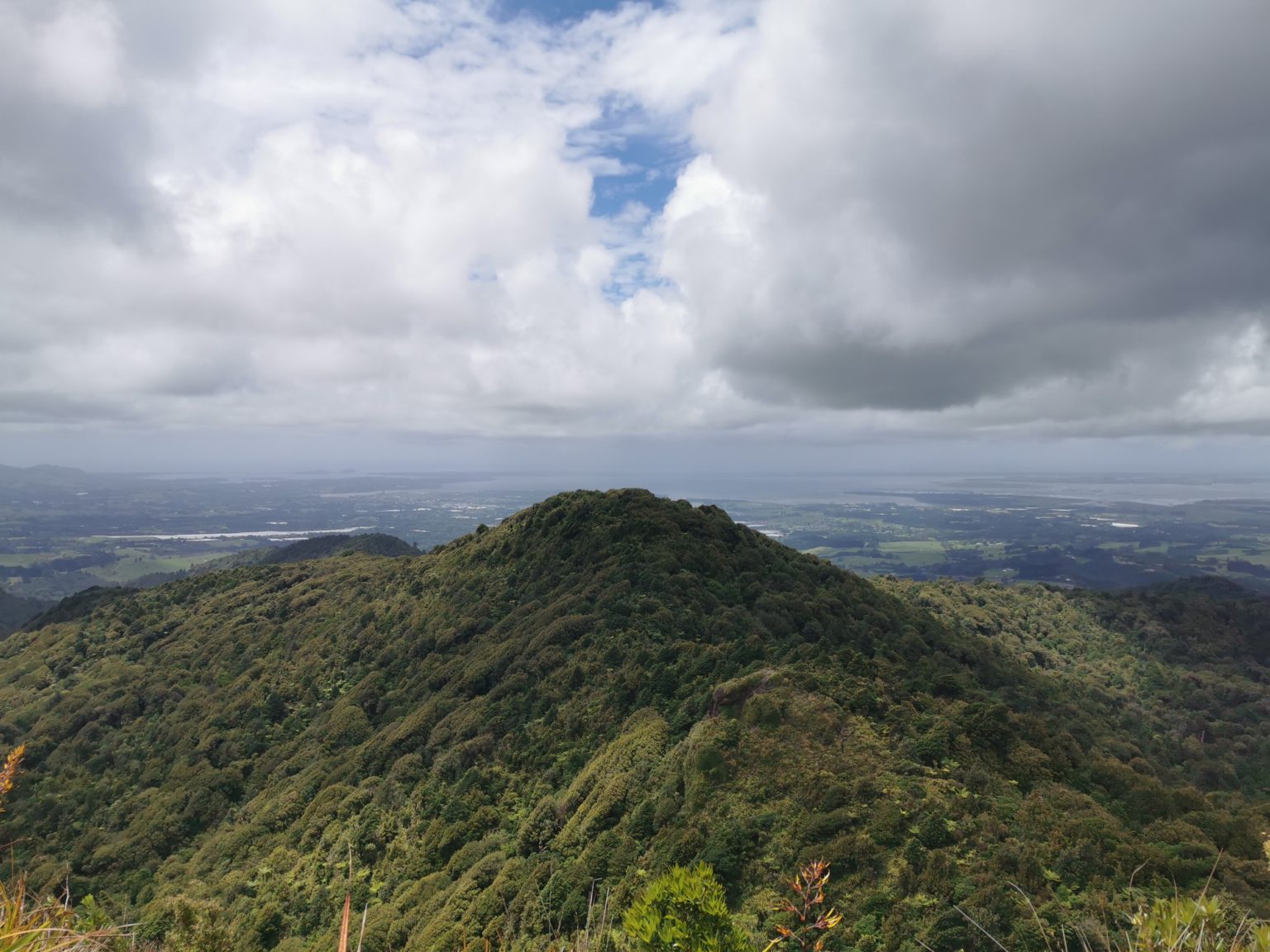 Photo of Sentinel Rock Walk Kaimai Ranges – PEAK